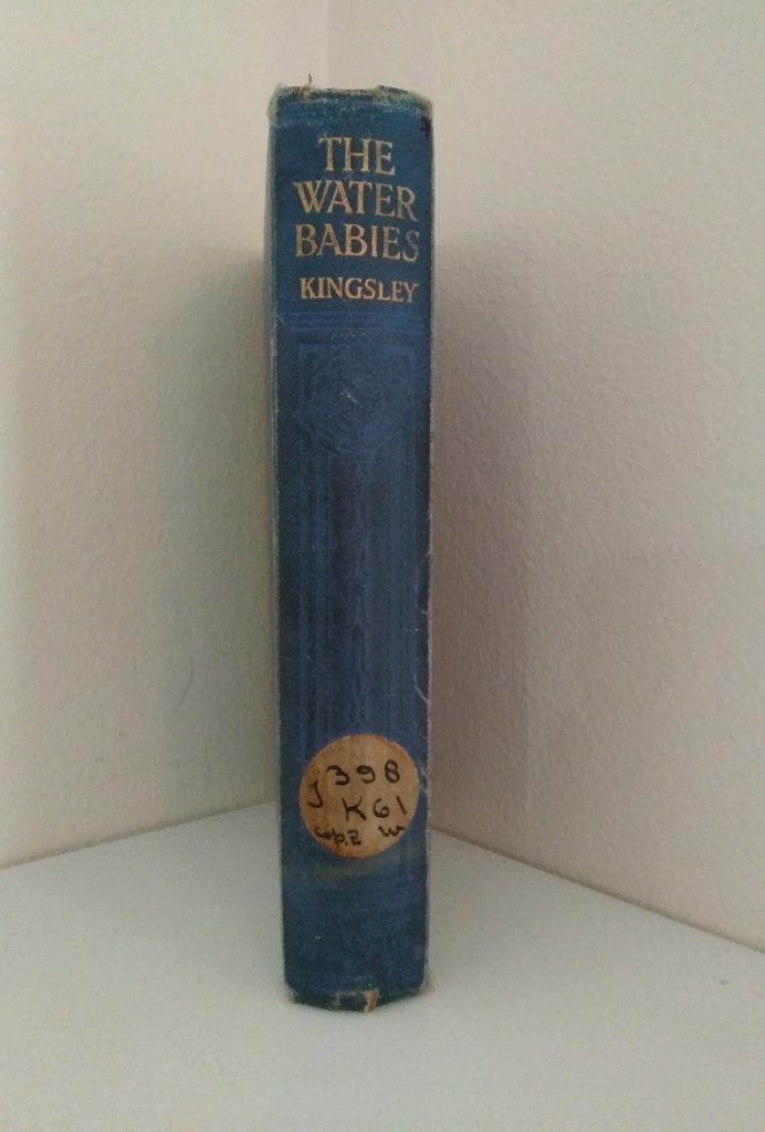 Scarce Undated copy of The Water-Babies by Charles Kingsley – SOLD ...