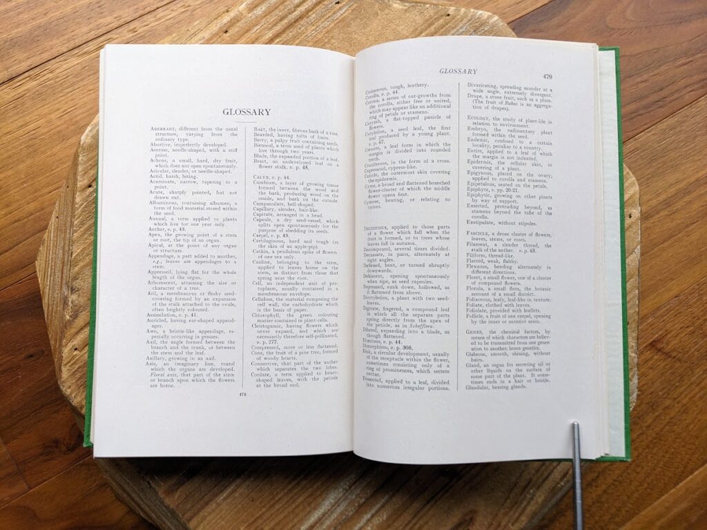 Plants of New Zealand by Laing and Blackwell – Fifth Edition – undated ...