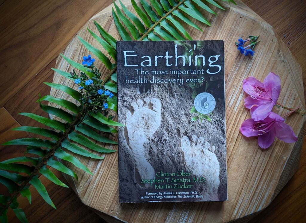 Earthing: The Most Important Health Discovery Ever By Clinton Ober ...